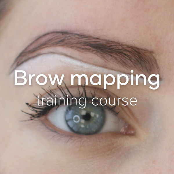 Online Brow Mapping Course